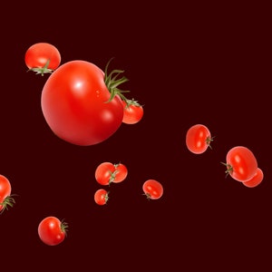 Tomato Splat - Scene Transition Stinger and Stream Alert - Full Screen ...