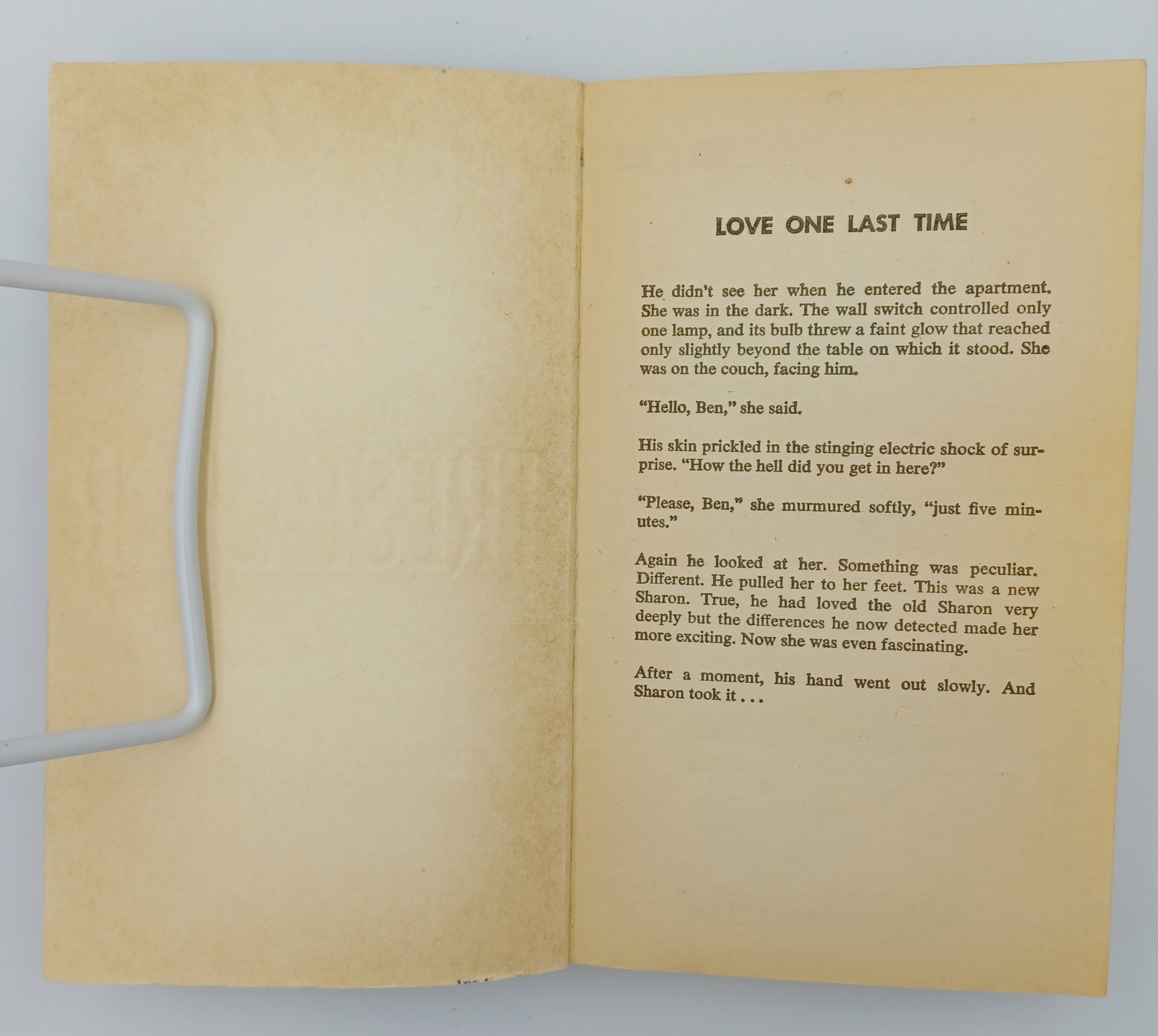 The Trespasser 1981 Melvin Weiser Vintage Horror Paperback - Etsy