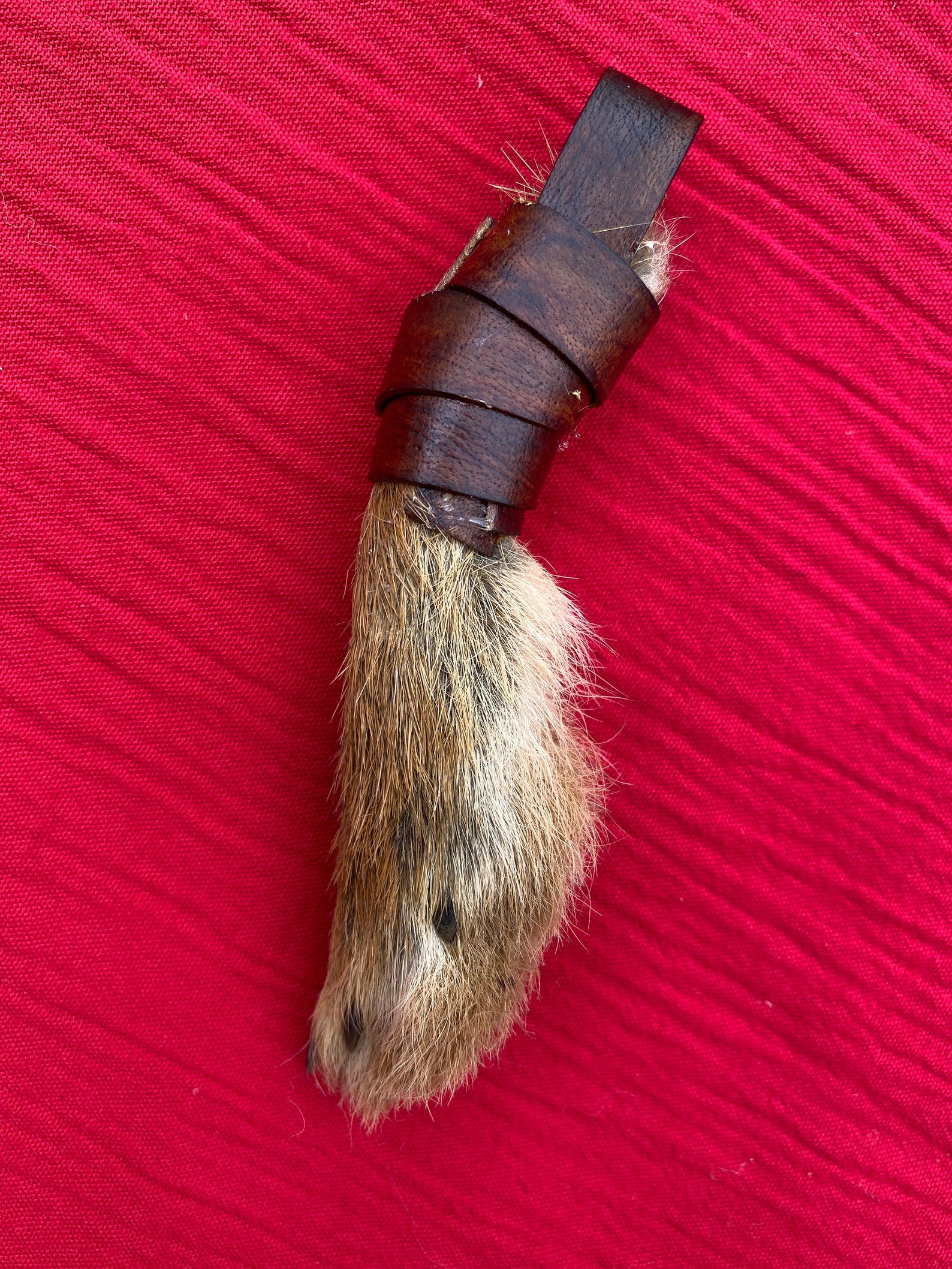 Single Rabbit Foot lucky - Etsy UK