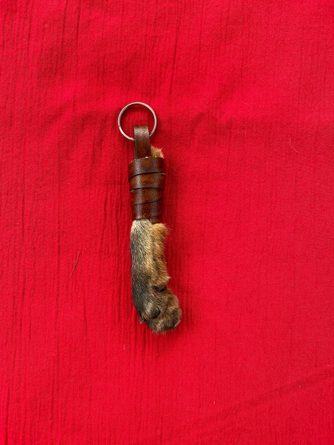 A Real Red Fox Foot Key Ring - Etsy UK