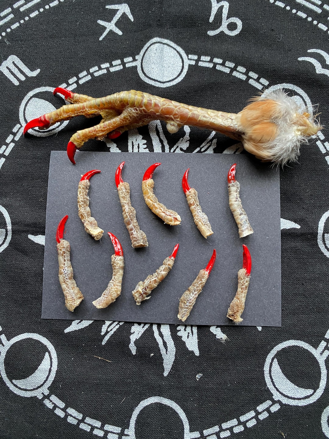 This item is unavailable - Etsy