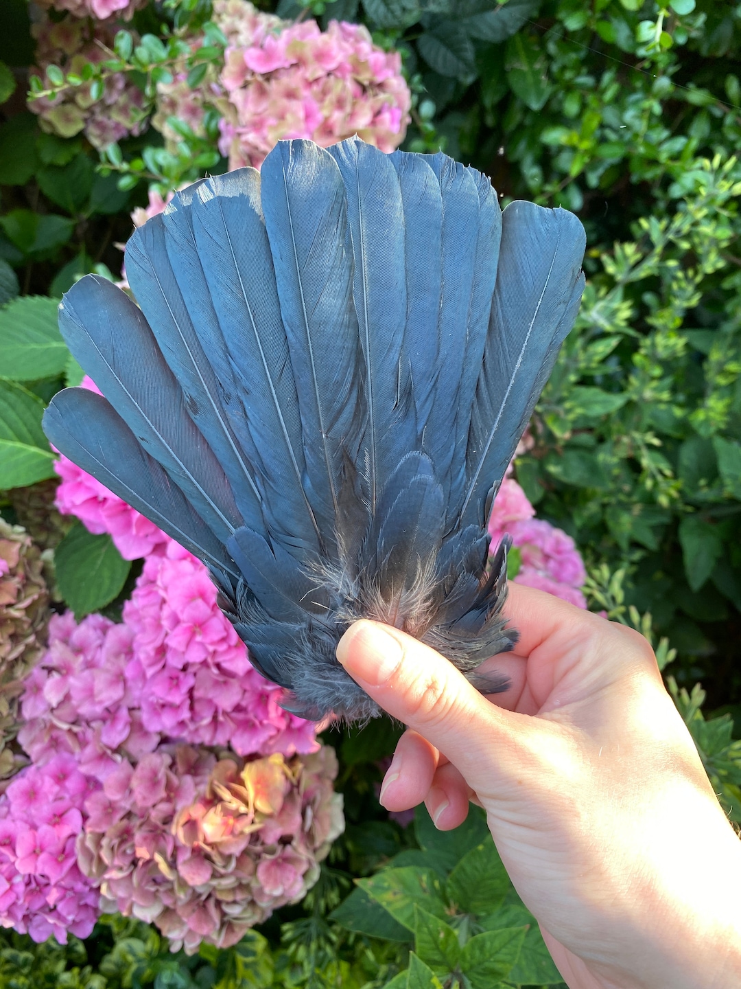 A Genuine Crow Tail Smudge Fan - Etsy