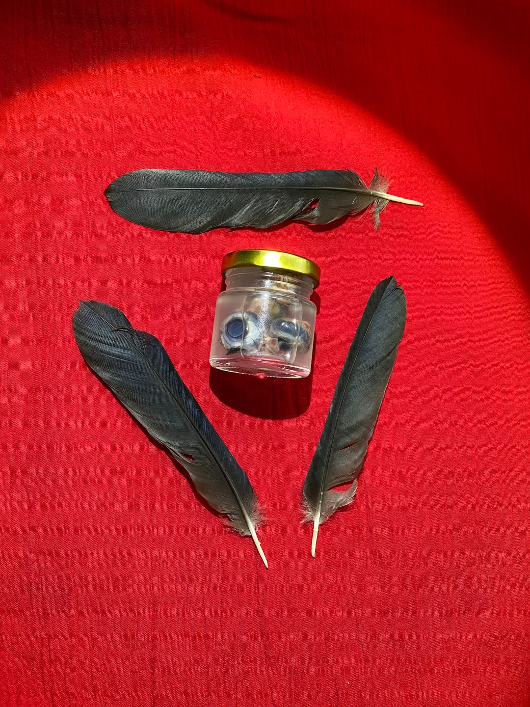 Four Real Crow Eyes Wet Specimen - Etsy