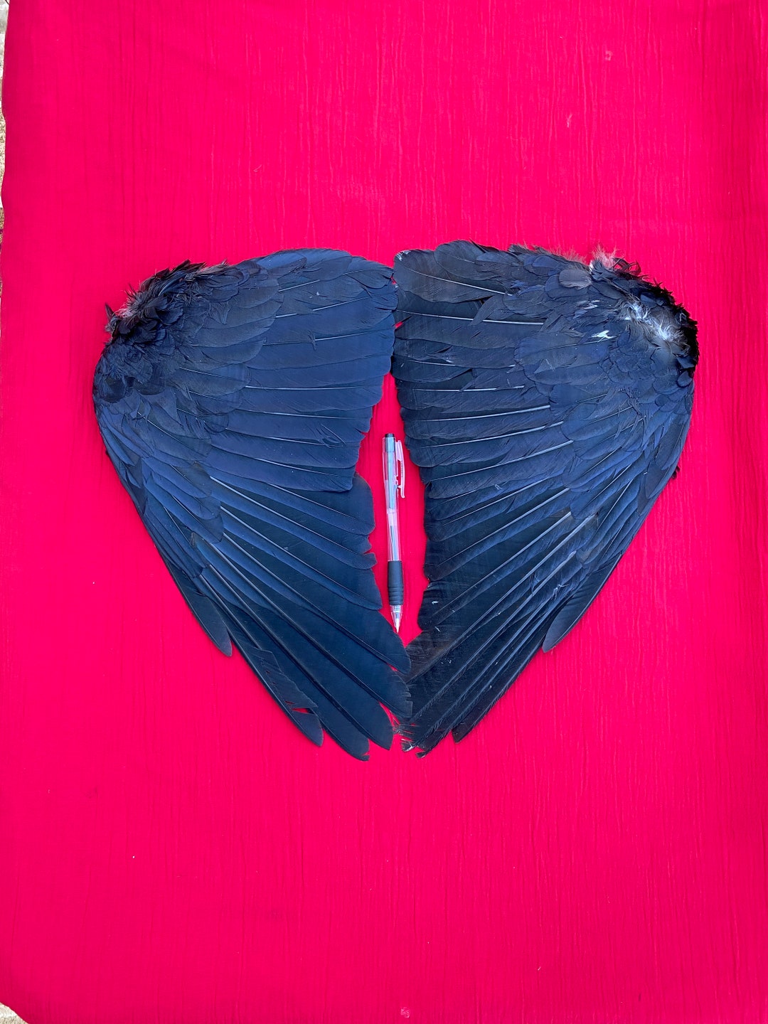 A Pair Genuine Crow Wings - Etsy