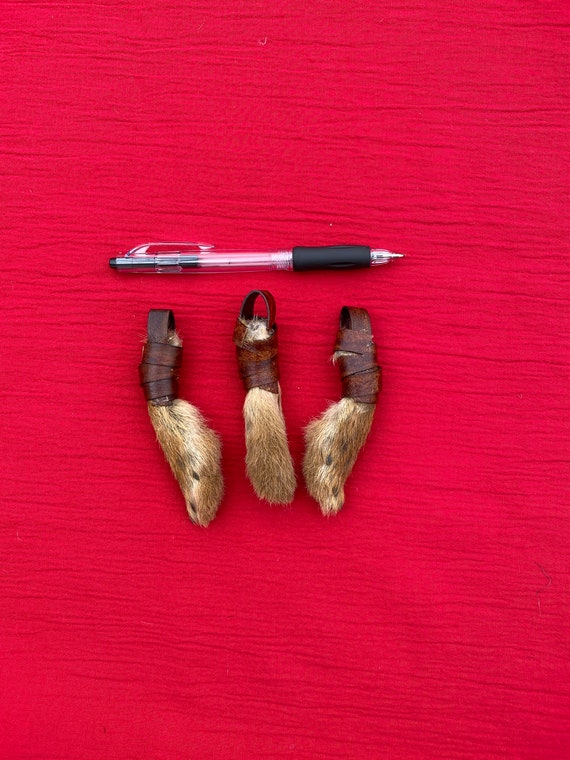 Single Rabbit Foot lucky - Etsy UK