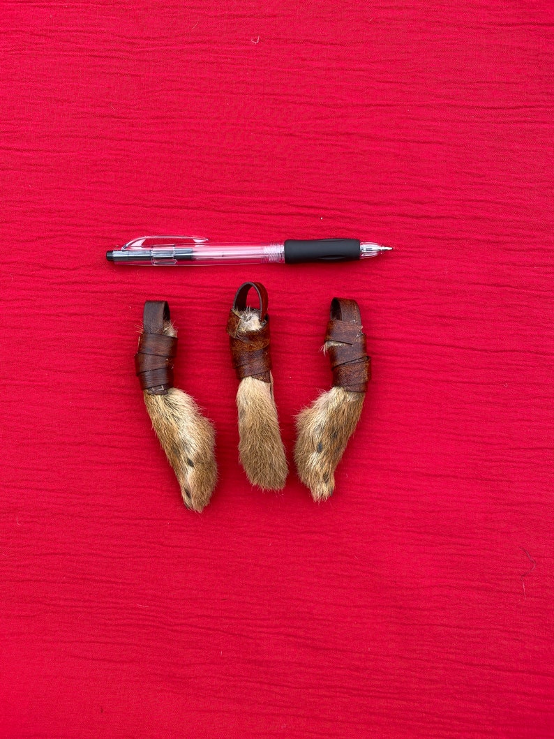 Single Rabbit Foot "lucky" - Etsy UK