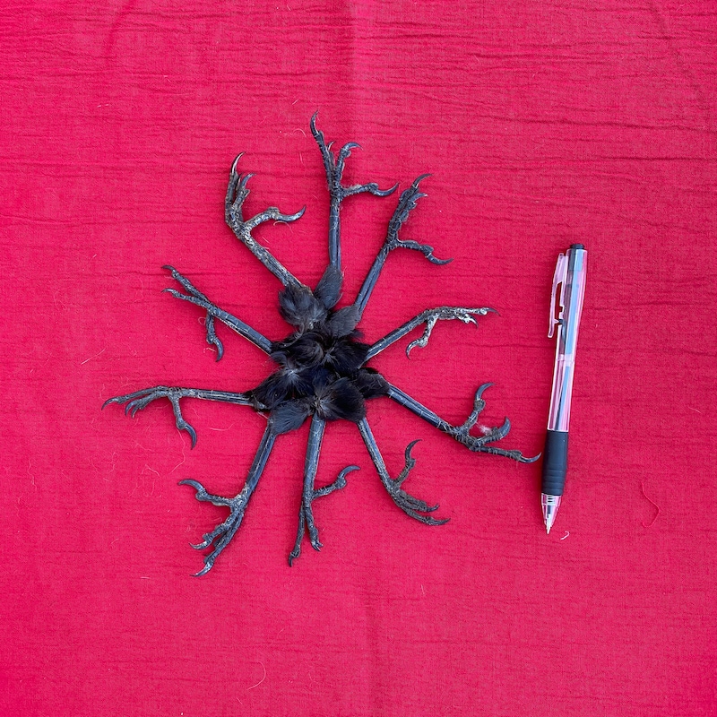 Goth Feet Jewelry - Etsy UK