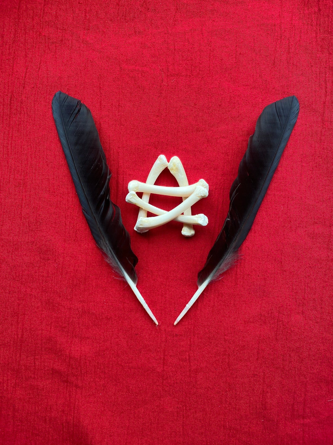 Crow Bones Witchcraft Occult Feathers Altar Pentagram - Etsy