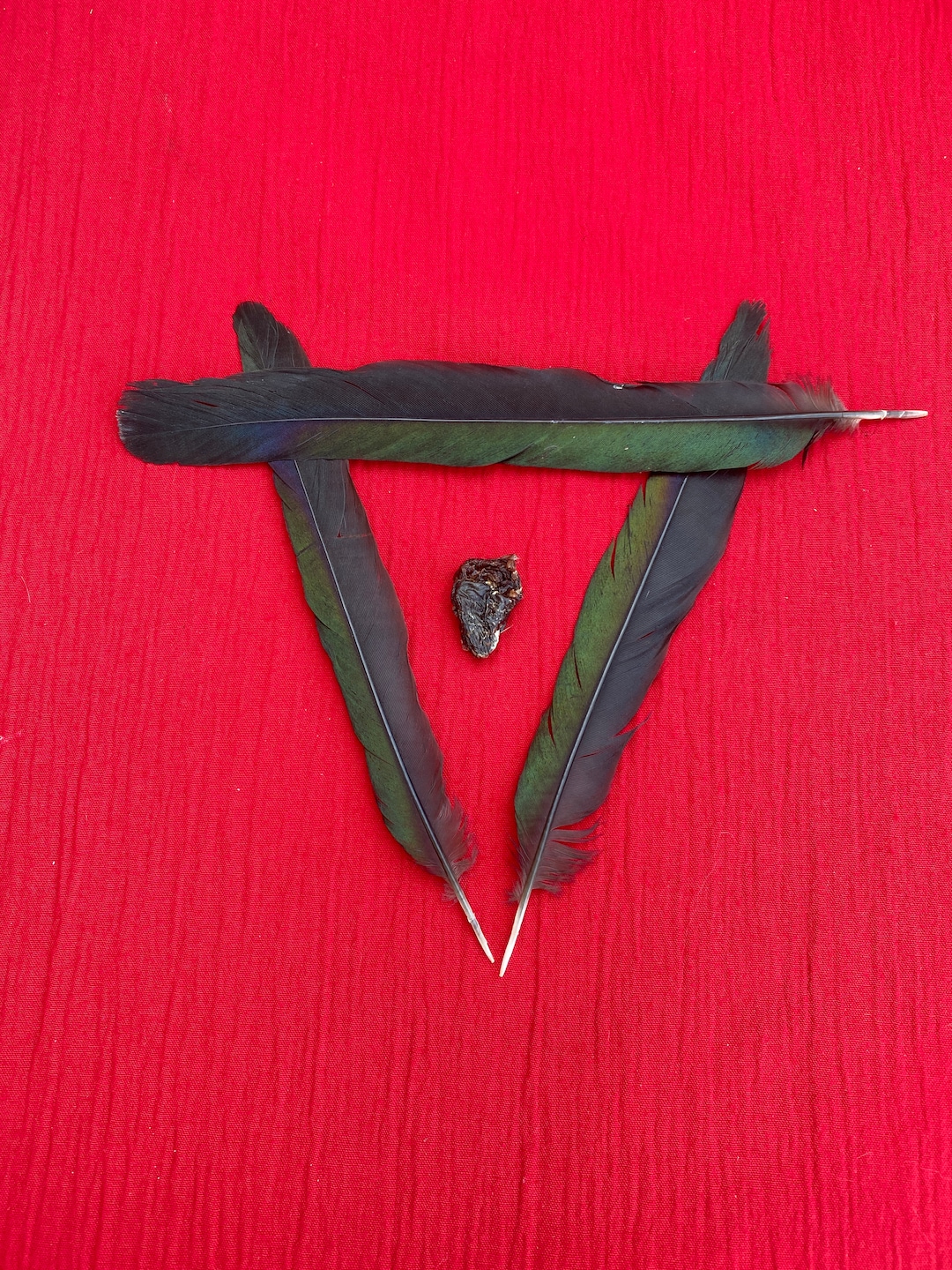 A Genuine Preserved Crow Heart - Etsy