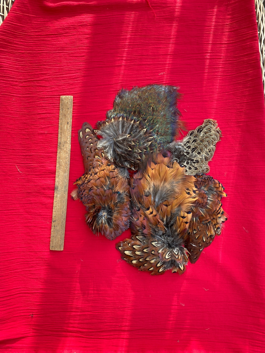 5 Gorgeous Pheasant Feather Patches - Etsy