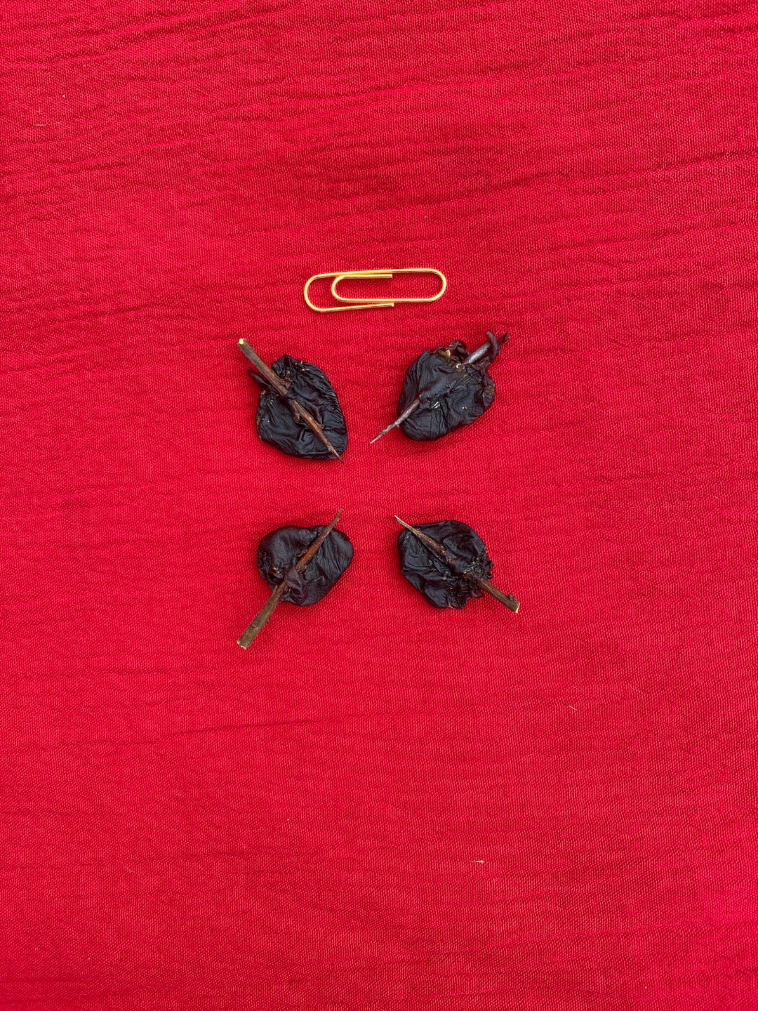 A Single Crow Heart Pierced With Blackthorn Spike - Etsy