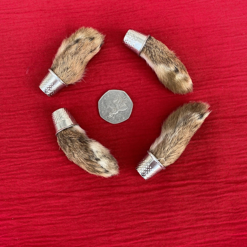 Wild Animals Feet - Etsy UK