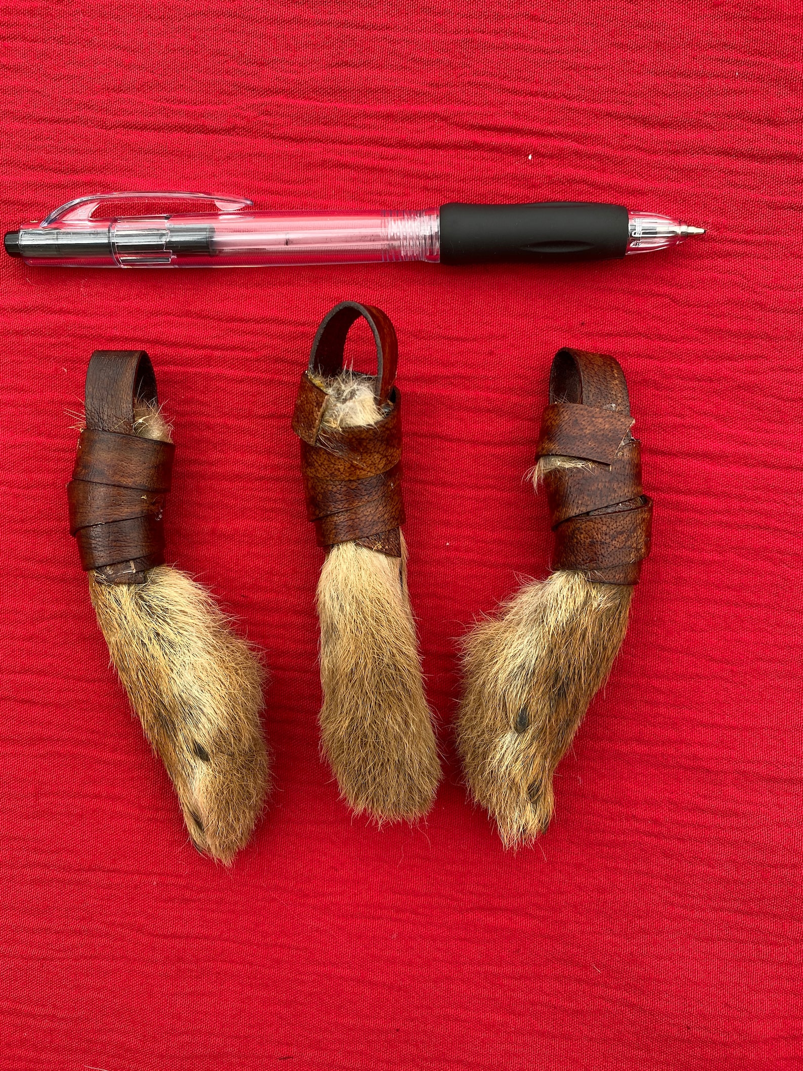 Single Rabbit Foot "lucky" - Etsy UK