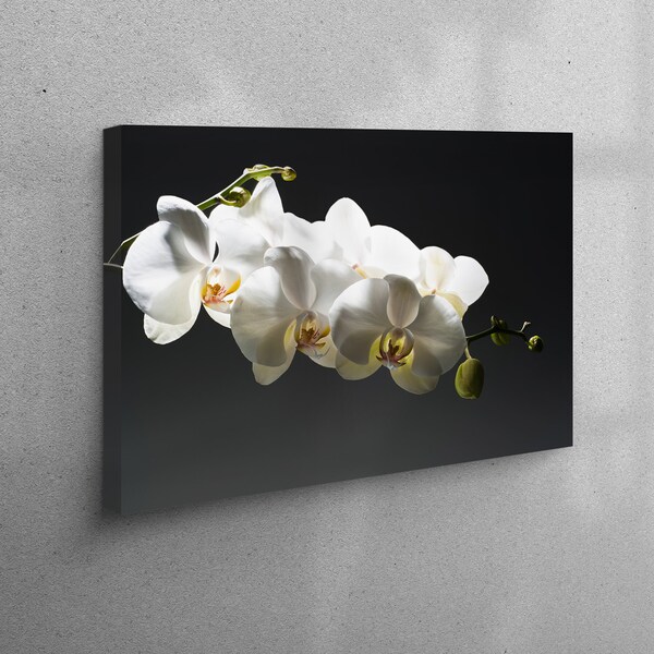 Orchid Print - Etsy