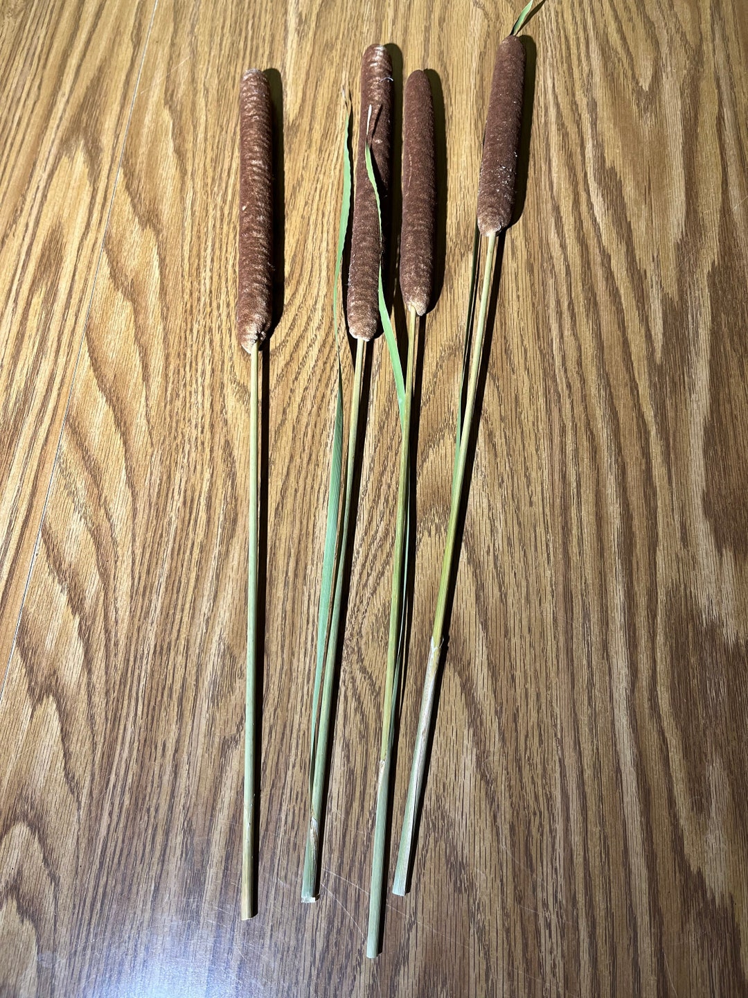 Natural Reed Cat Tail Typha for Crating, Large - Etsy