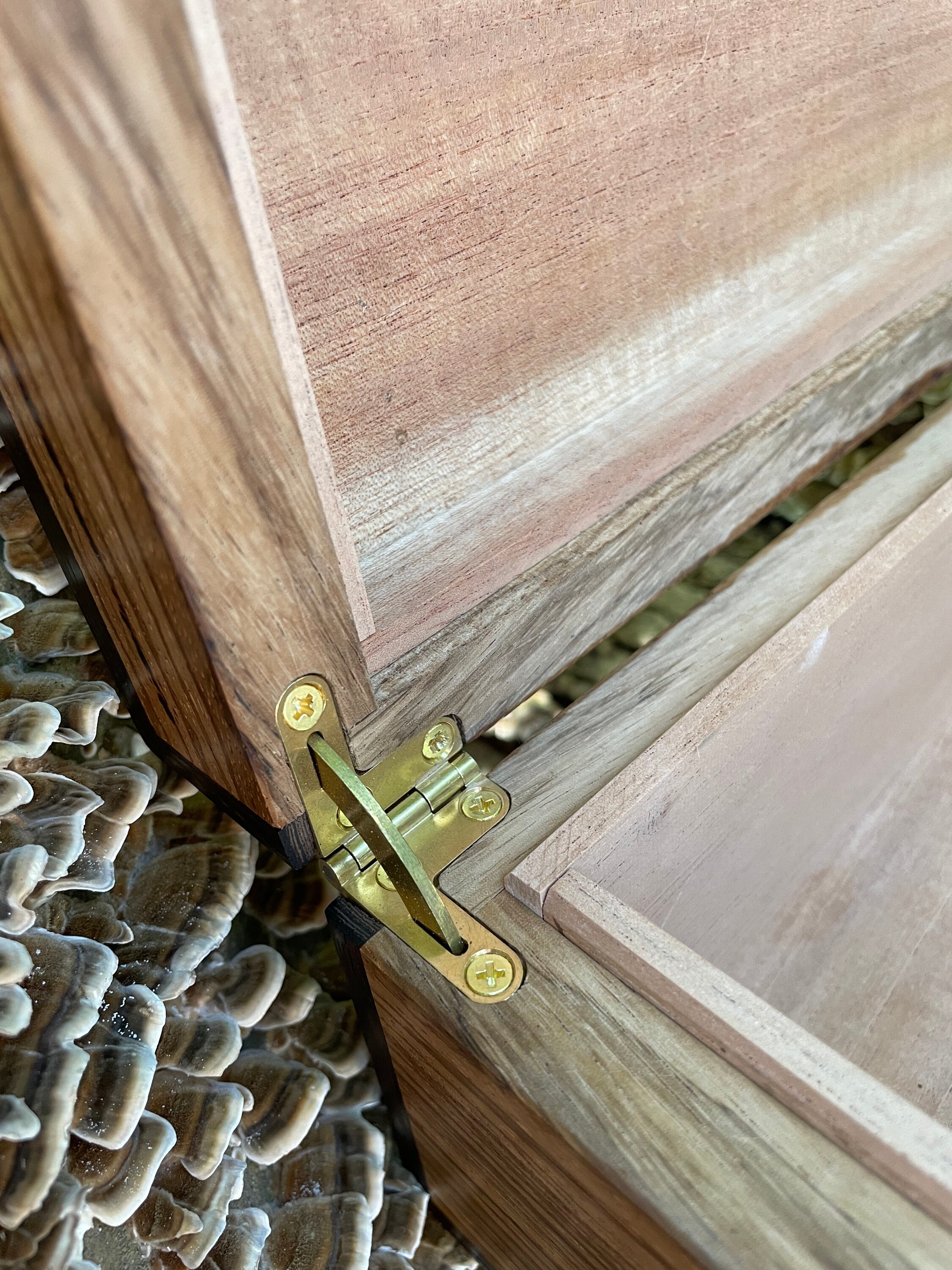 Acid Rain Humidor - Etsy