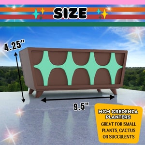 Mid Century Modern Credenza Planter Succulent Cactus Plants MCM Midmod ...