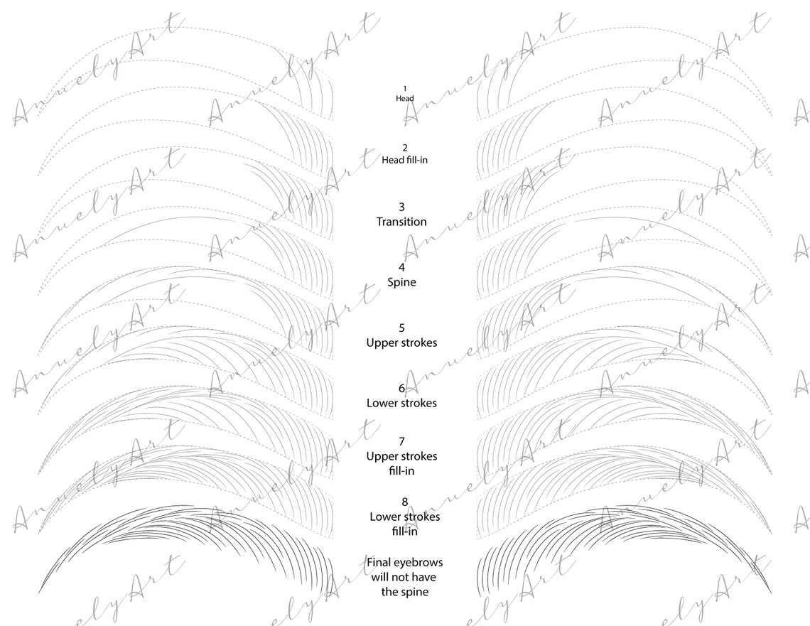 Microblading Patterns, Nanoblade Pattern, Basic, Advance, Curve, S ...