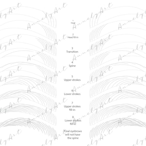Microblading Patterns, Nanoblade Pattern, Basic, Advance, Curve, S Shape, Step-by-step Pattern ...