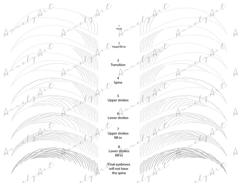 Microblading Patterns, Nanoblade Pattern, Basic, Advance, Curve, S ...