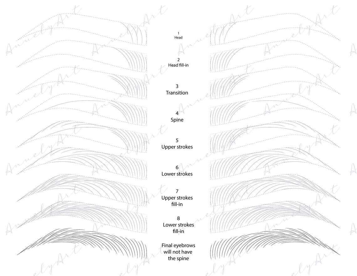Microblading Patterns, Nanoblade Pattern, Basic, Advance, Curve, S ...