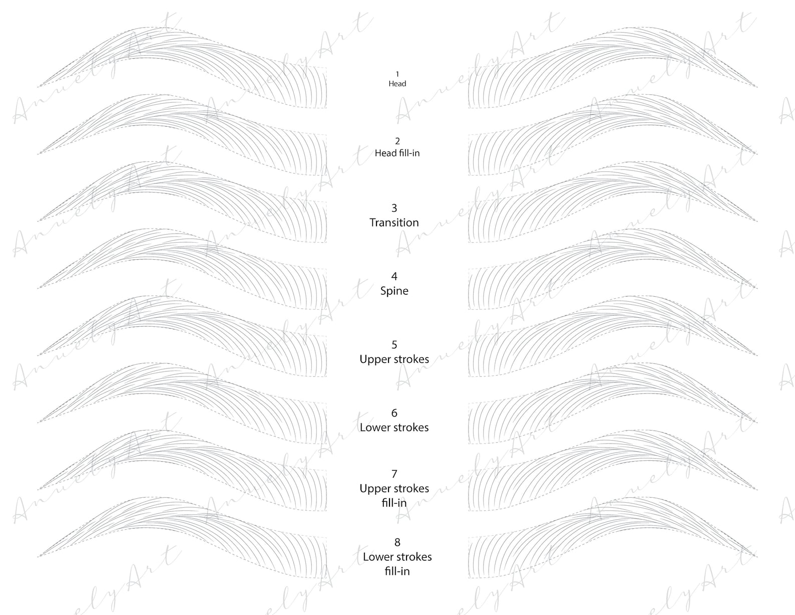 Microblading Patterns, Nanoblade Pattern, Basic, Advance, Curve, S ...