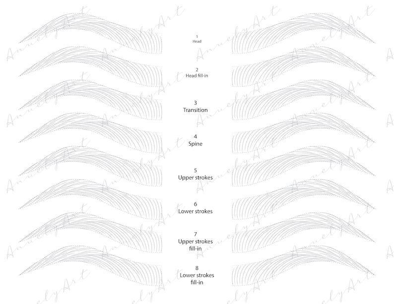 Microblading Patterns, Nanoblade Pattern, Basic, Advance, Curve, S Shape, Step-by-step Pattern ...