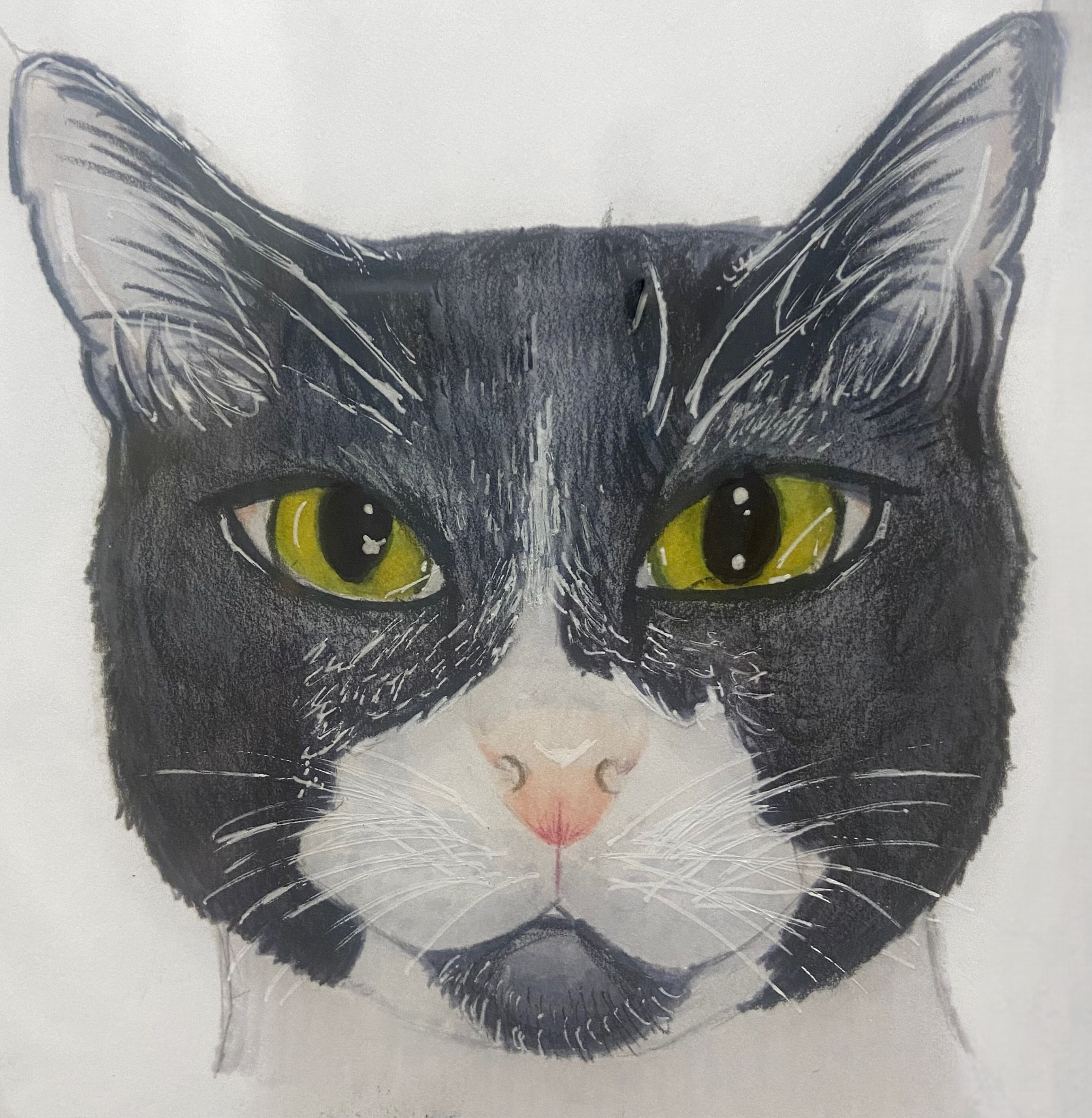 Detailed Colored Pencil Pet Drawing From Photo, Dog Cat Colored Pencil ...