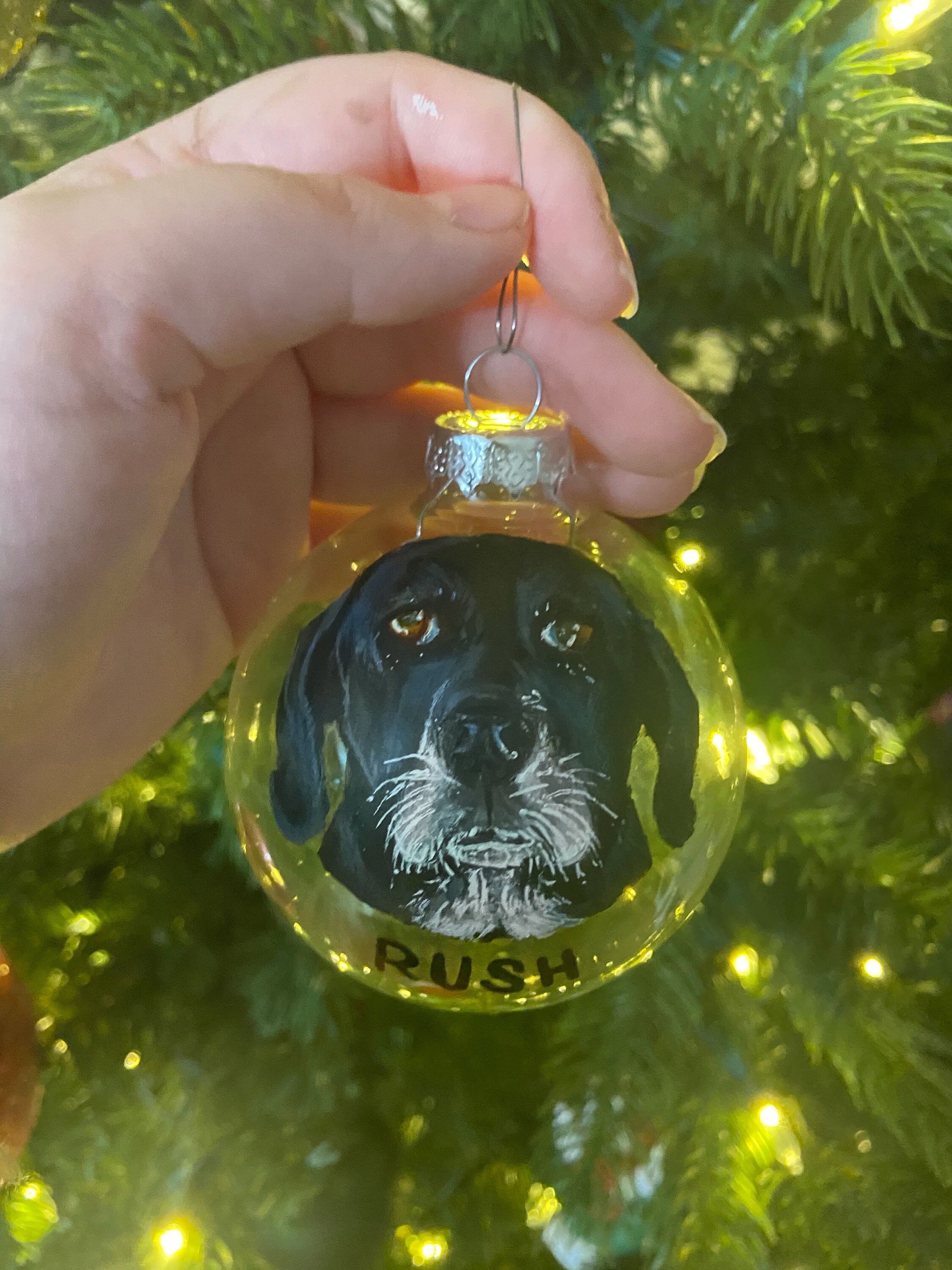 Custom Hand-painted Christmas Ornaments of Pets, Hand-painted Pet ...