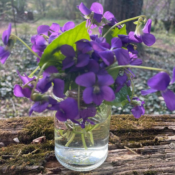 Fresh Cut Flowers - Etsy