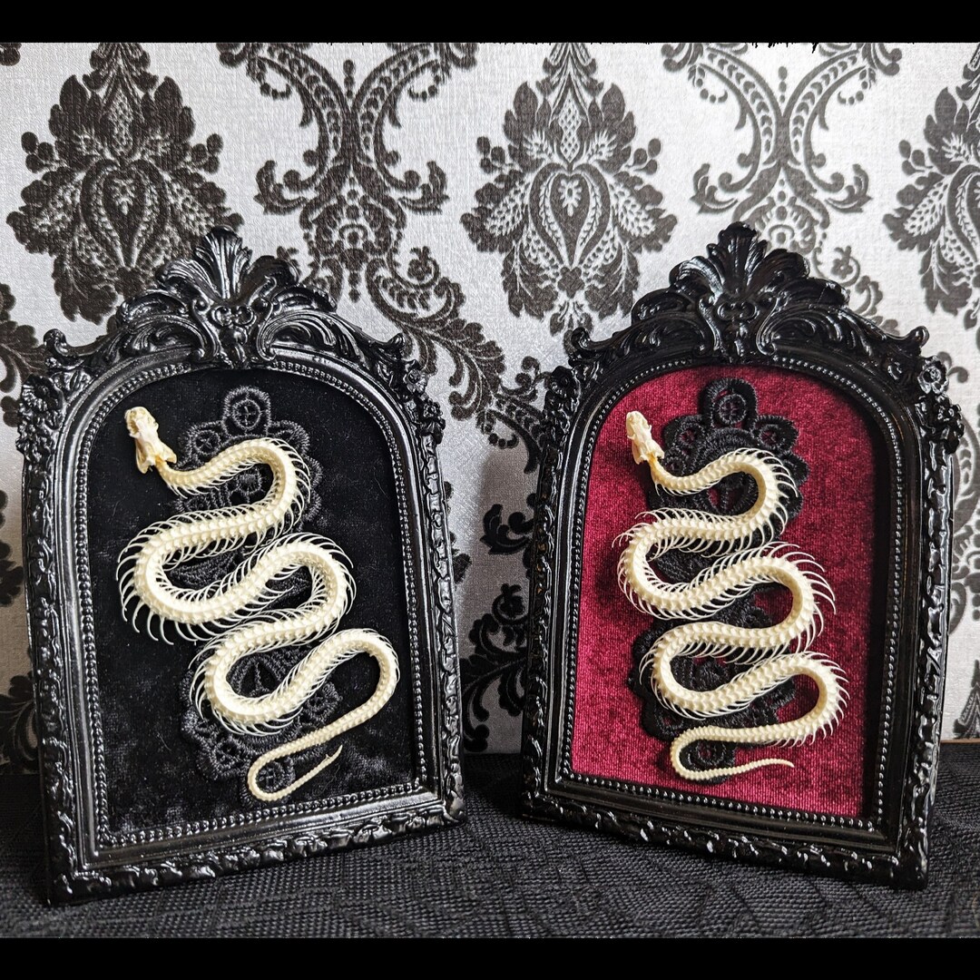 Snake Skeleton Framed, Black & Burgundy real Snake Skeleton Framed ...
