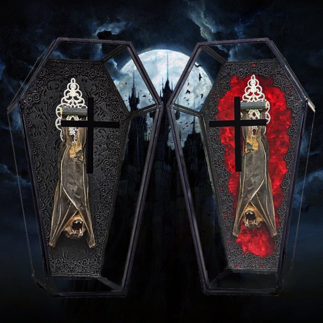 Bat in Glass Coffin, Black & Red Editions, Real Taxidermy Bat, Gothic ...