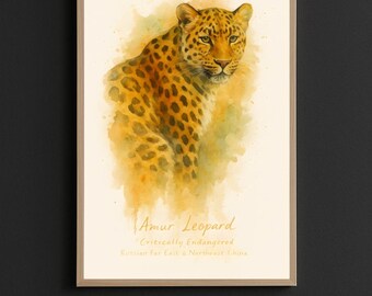 Amur Leopard - Etsy