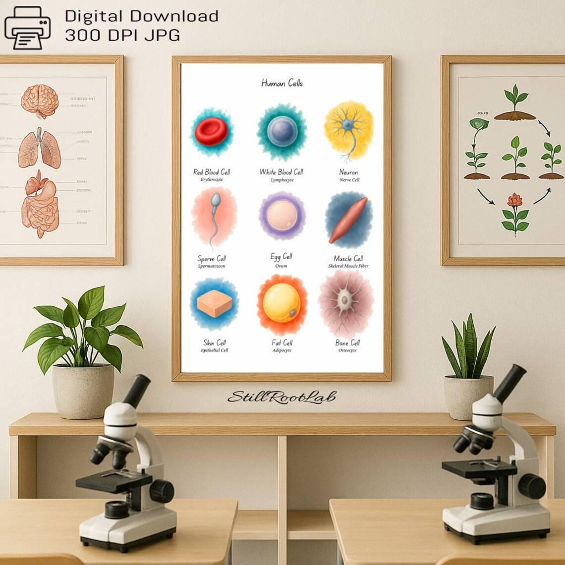 Human Cells Watercolor Biology Poster: Anatomy Art, Classroom Decor ...