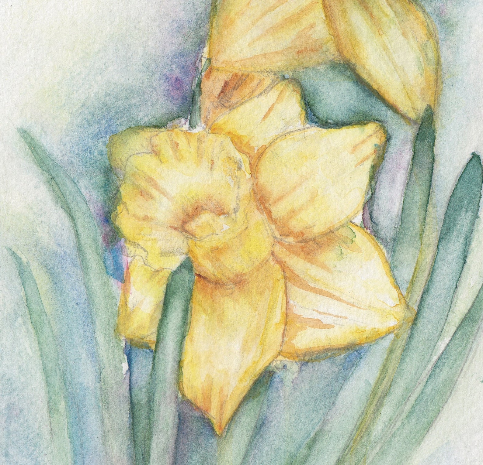 Original Daffodil Watercolor Painting, Spring Watercolor Painting ...