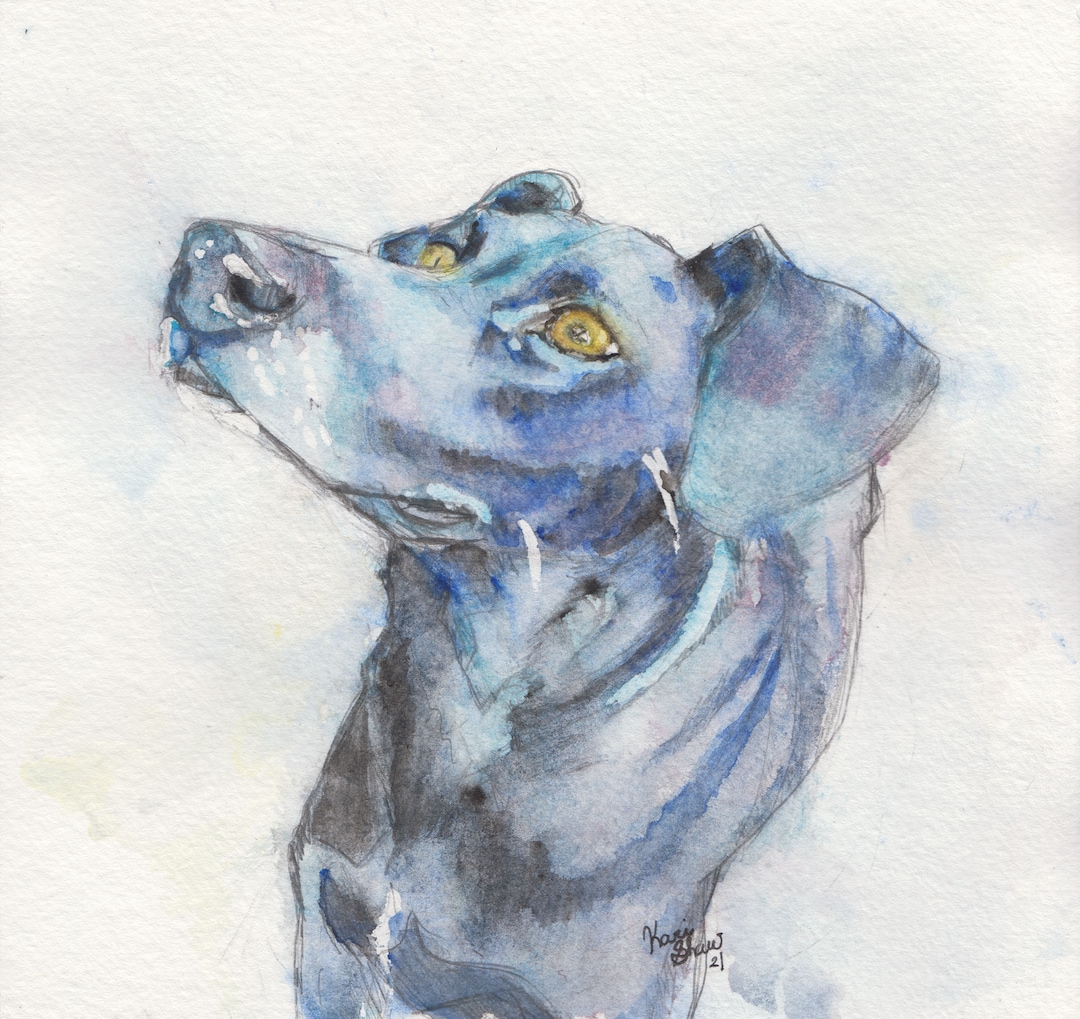 Blue Dog, Watercolor Dog Painting, Doberman-mix, Pet Portrait, Pet Dog ...