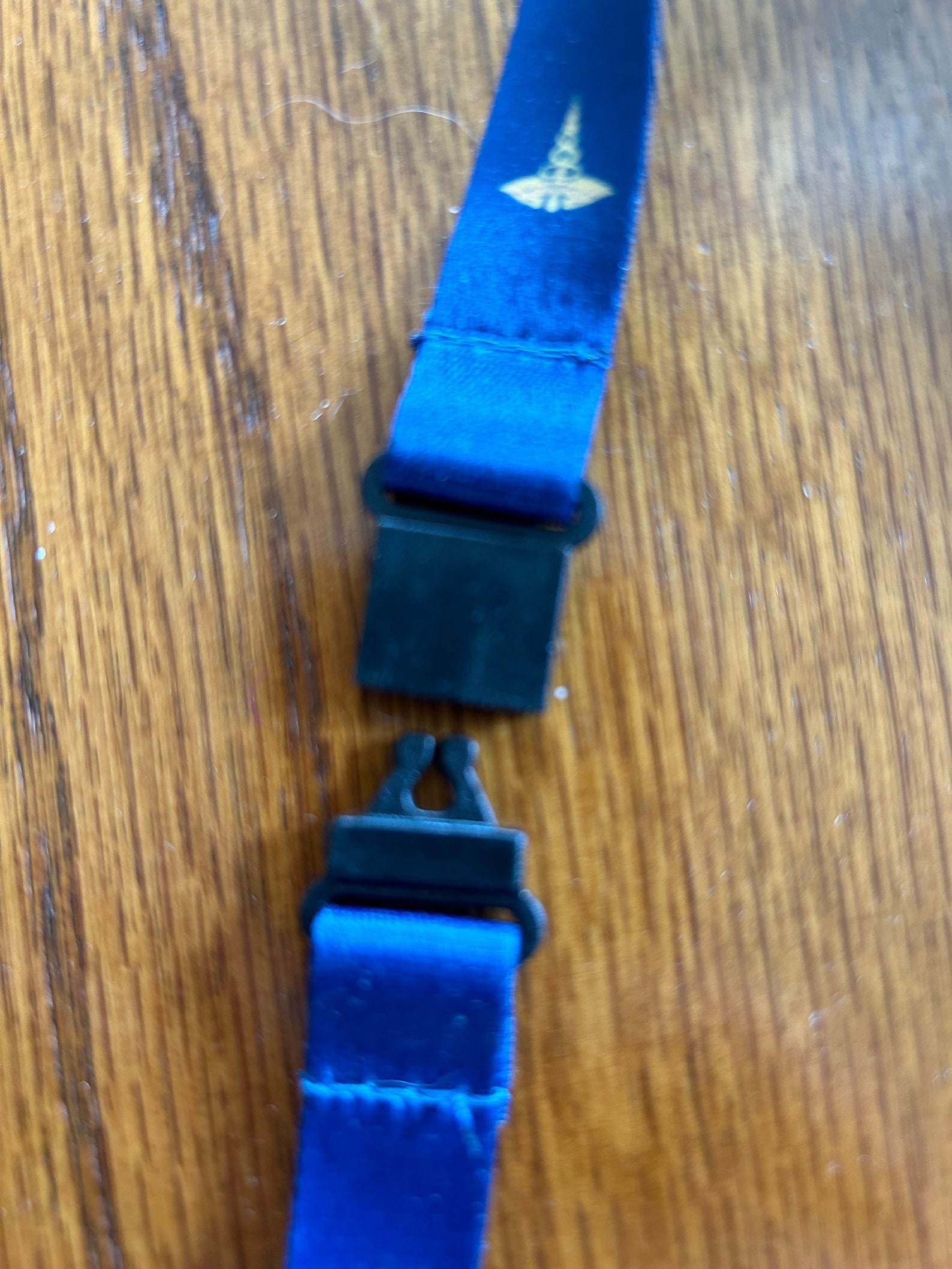 Veteran Affairs ID Badge Lanyard, Badge Holder Lanyard, VA Medical ...