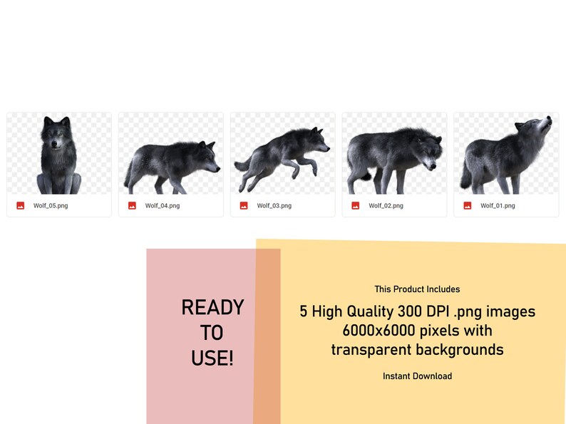 5 Realistic Wolves Clip Art / Photoshop Overlays / Digital Graphics - Etsy