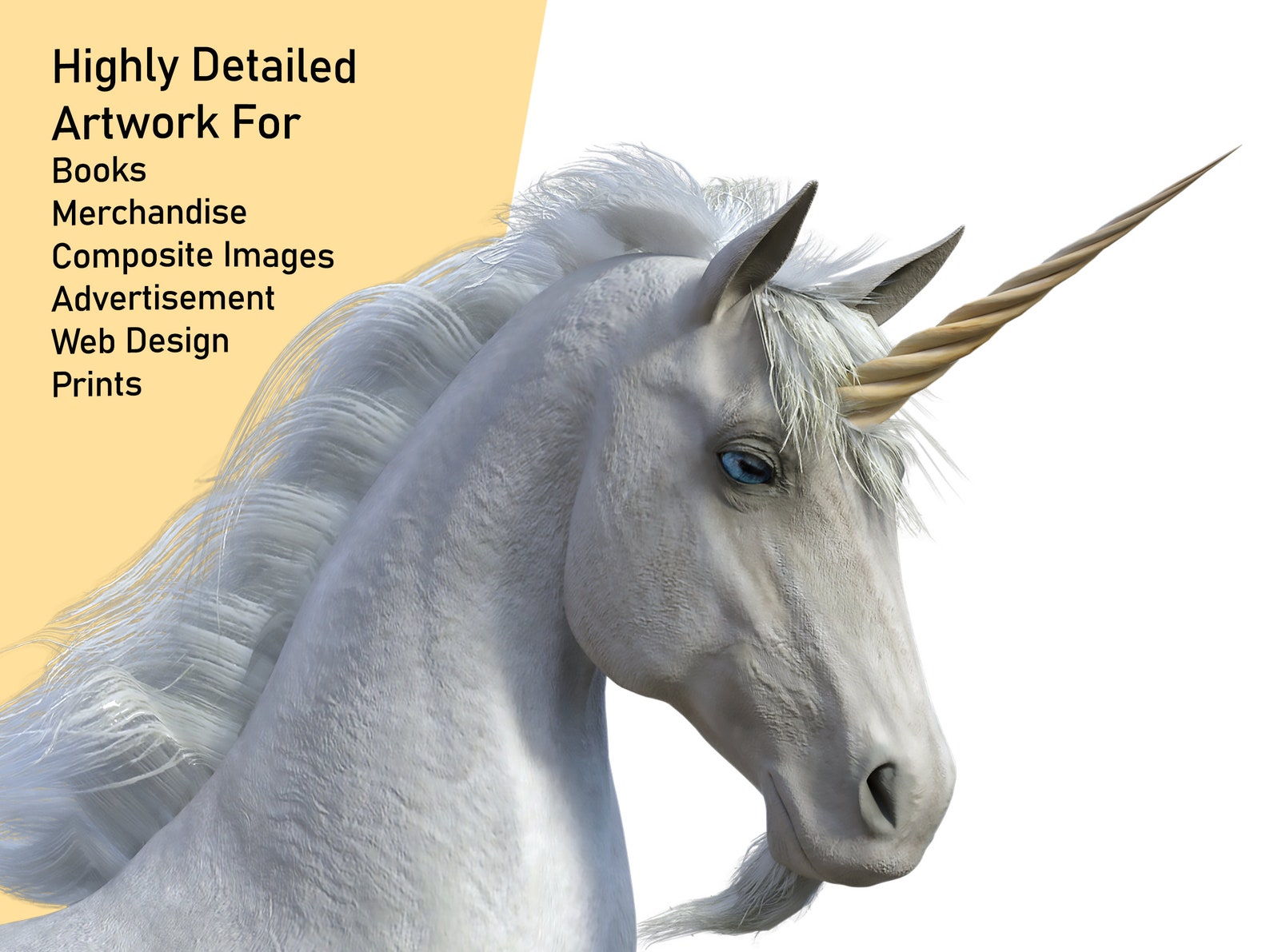 11 Realistic Unicorns Clip Art / Photoshop Overlays / Digital Graphics ...