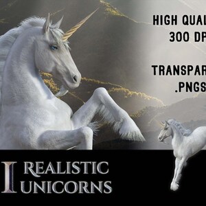 11 Realistic Unicorns Clip Art / Photoshop Overlays / Digital Graphics ...