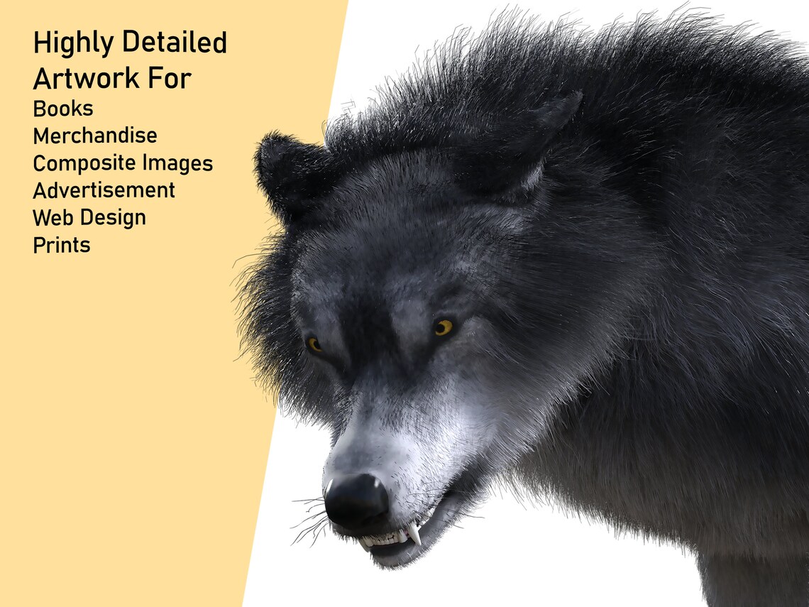 5 Realistic Wolves Clip Art / Photoshop Overlays / Digital Graphics ...