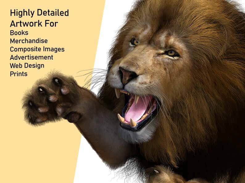 11 Realistic Lions Clip Art / Photoshop Overlays / Digital Graphics - Etsy