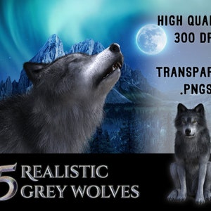 5 Realistic Wolves Clip Art / Photoshop Overlays / Digital Graphics - Etsy