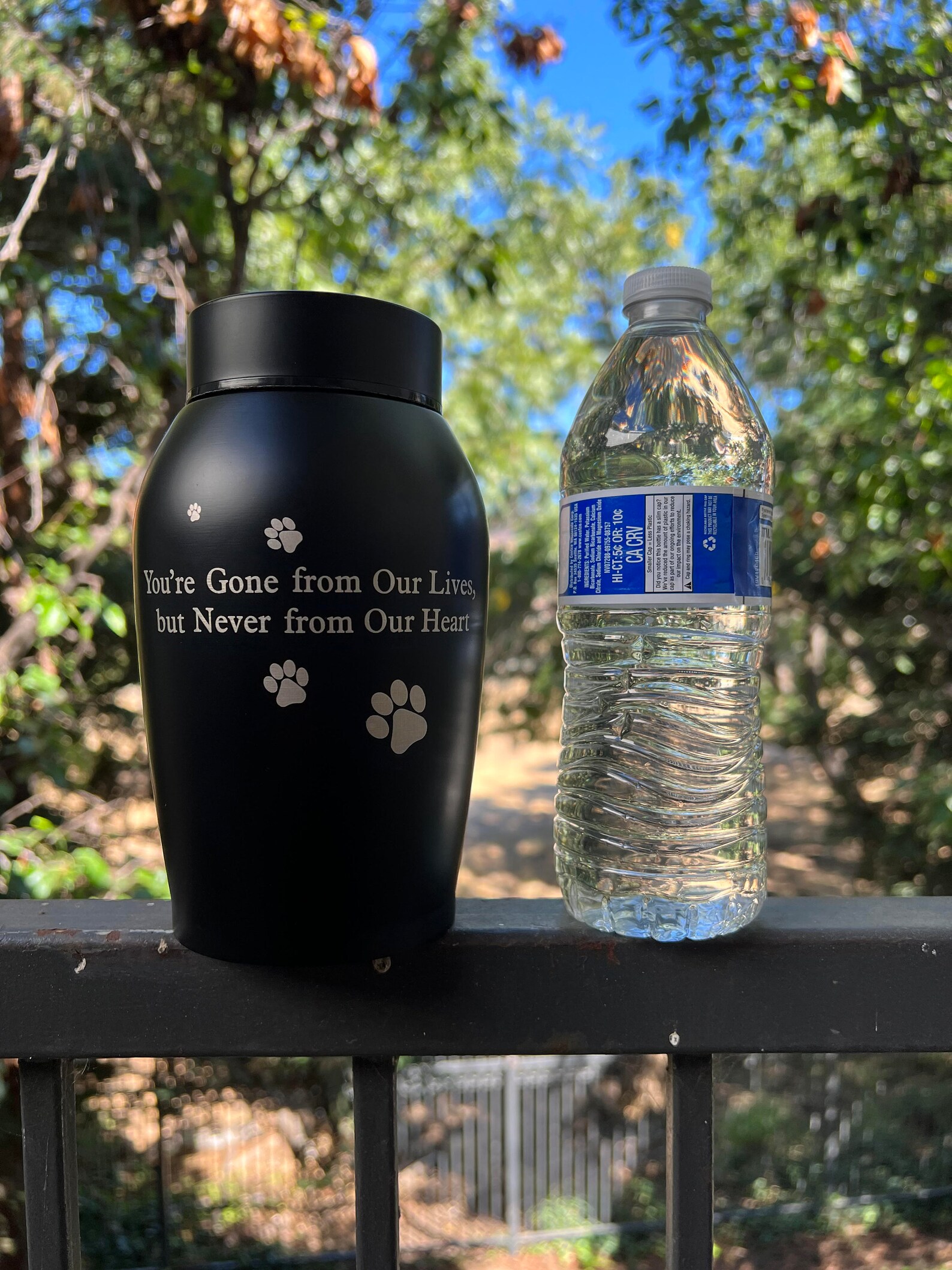 Memorial Funeral Cremation Urn for Cats and Dogs Ashes, Paws Engraved ...