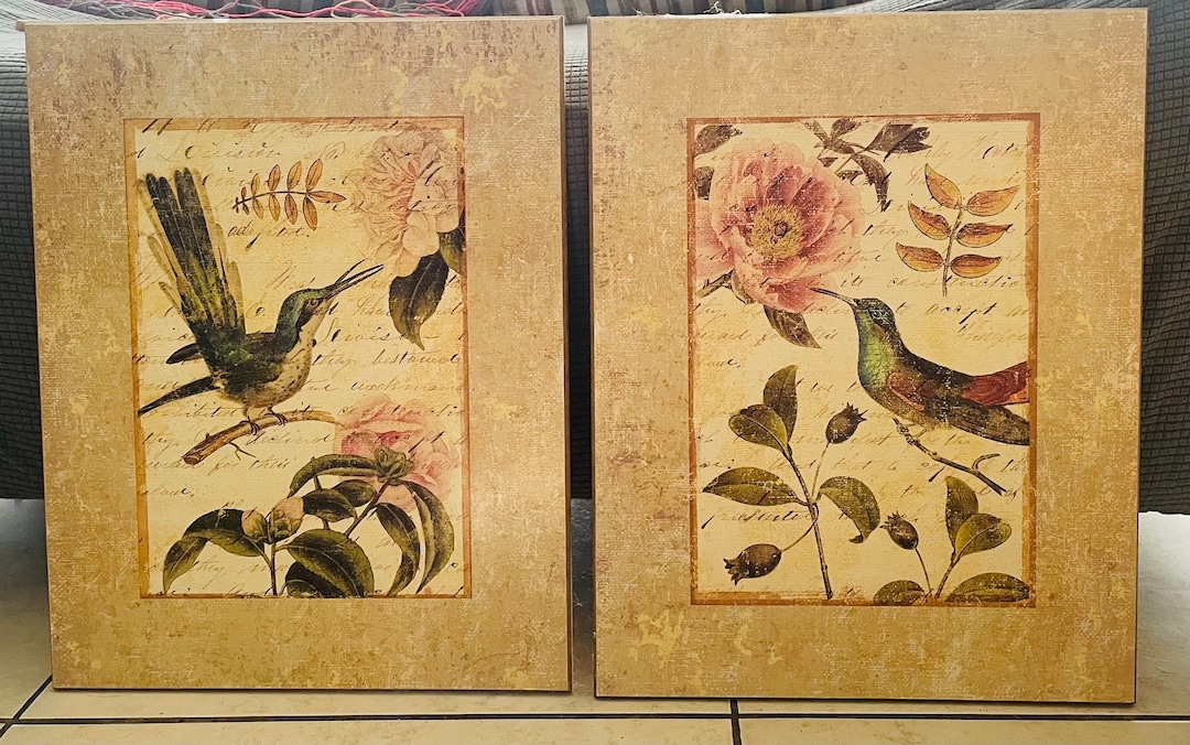 02 Vintage Framed Hummingbird Prints - Etsy