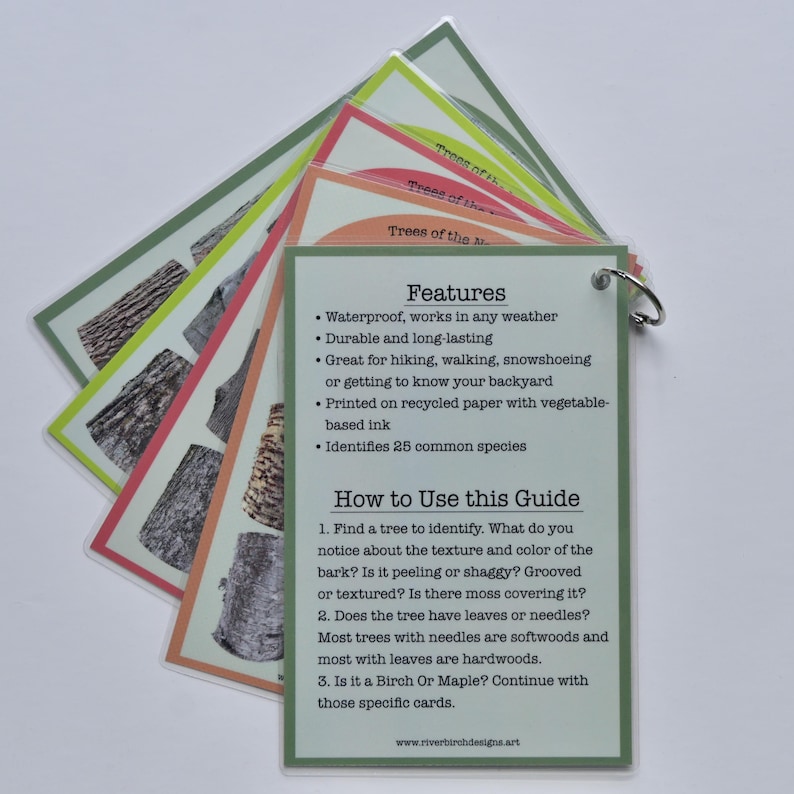 Waterproof Tree Field Guide; Laminated 4x6" Trees of the Northeast ...