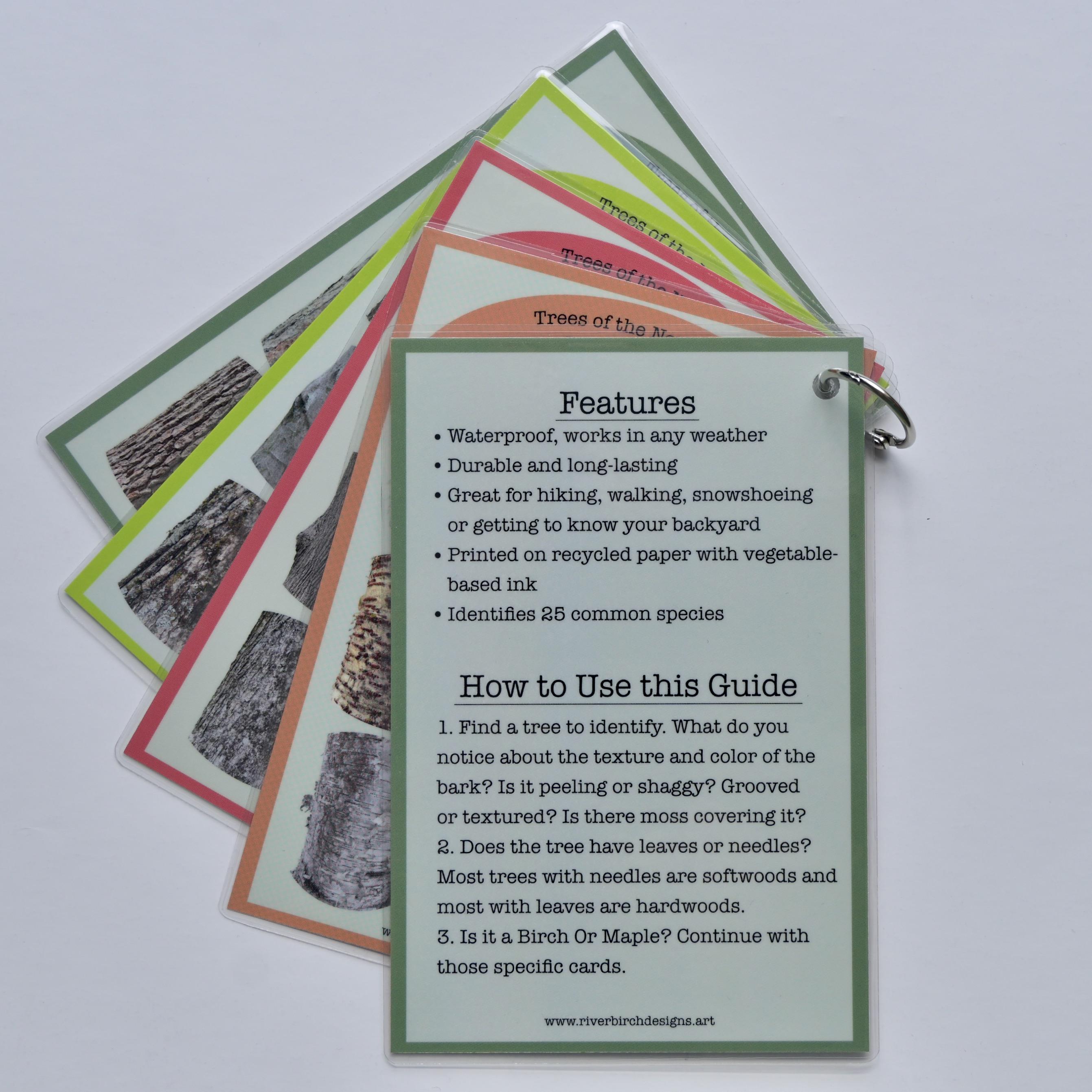 Waterproof Tree Field Guide; Laminated 4x6" Trees of the Northeast ...