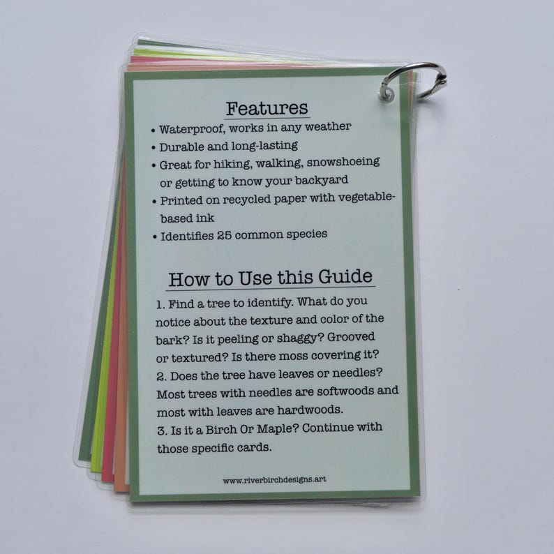 Waterproof Tree Field Guide; Laminated 4x6" Trees of the Northeast ...