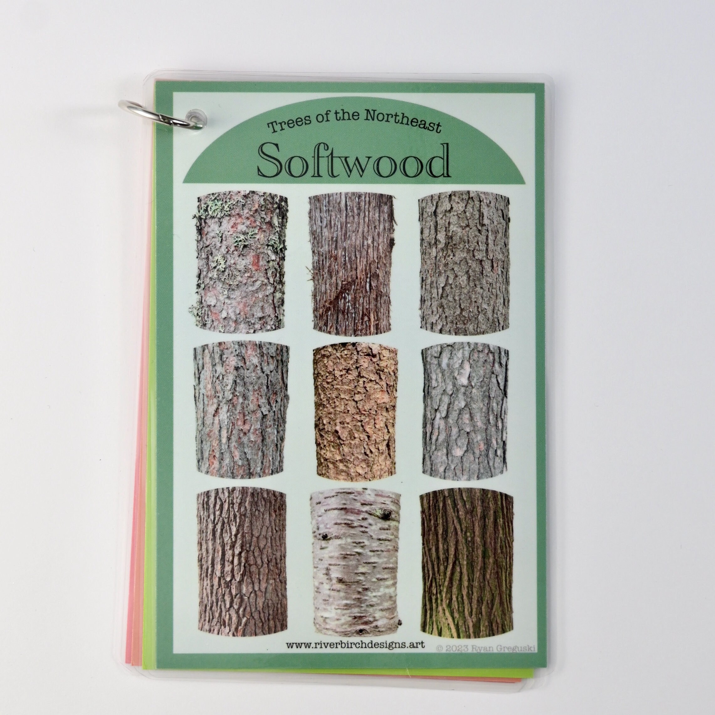 Trees of the Northeast 4x6 Inch Waterproof Laminated Tree ...