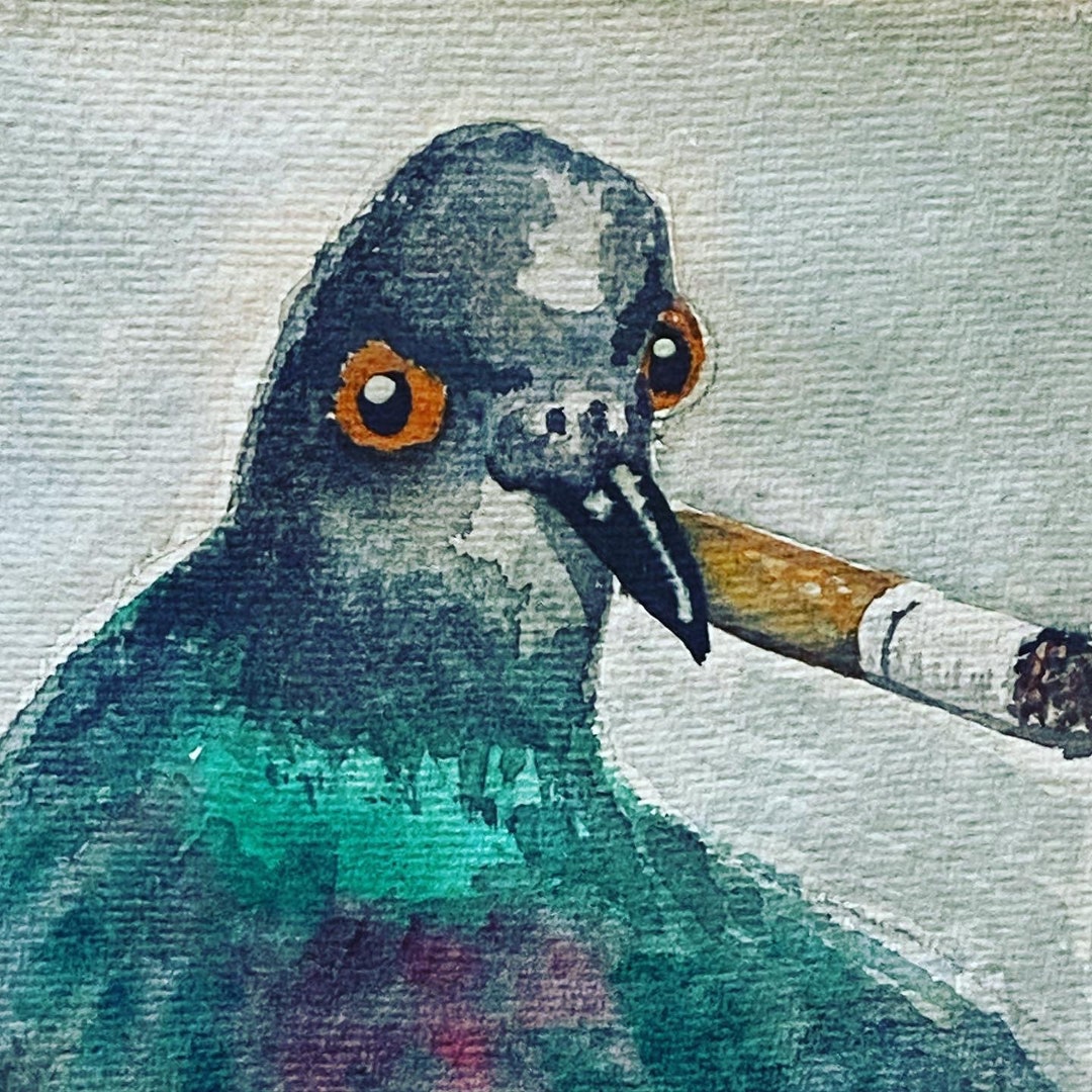 Fat Smoking Pigeon. Quirky Hand Painted Art. British Bird Lovers - Etsy